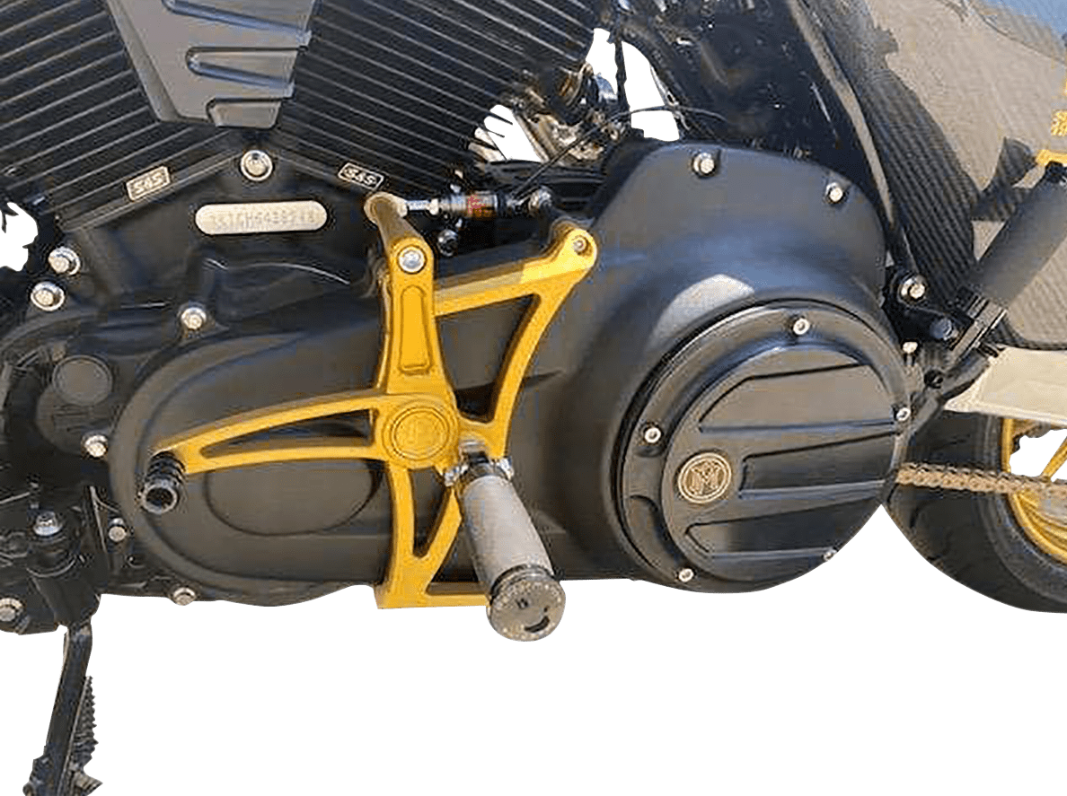 Performance Machine Mid Controls for Bagger – Imzz Elite